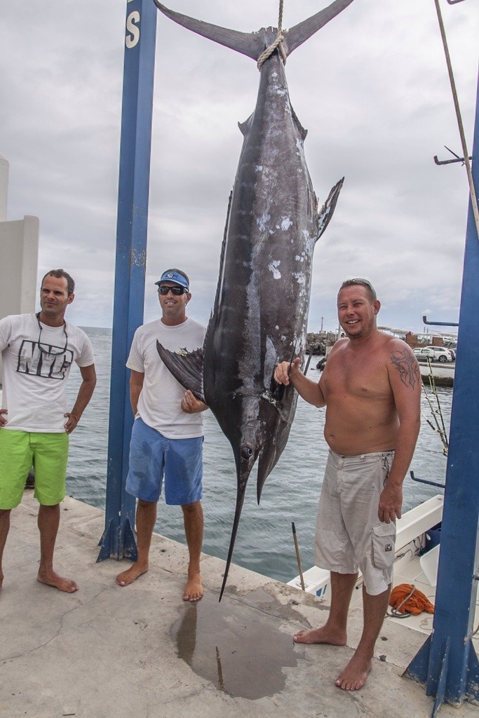 Blue Marlin died during fight - Fish On!